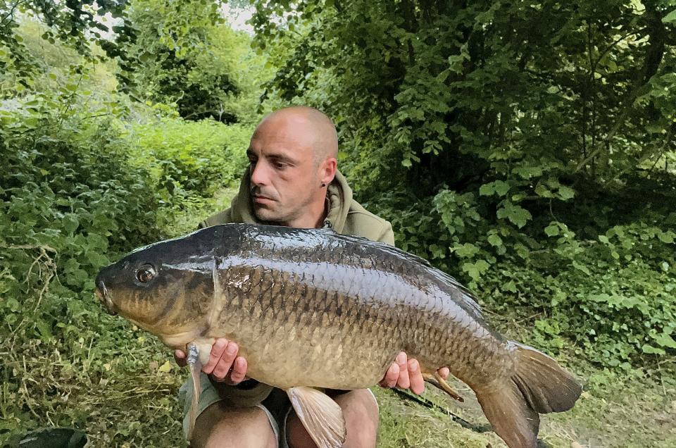 Dark common | Total Carp